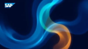 SAP Debuts Business Data Cloud with Databricks to Turbocharge Business ...