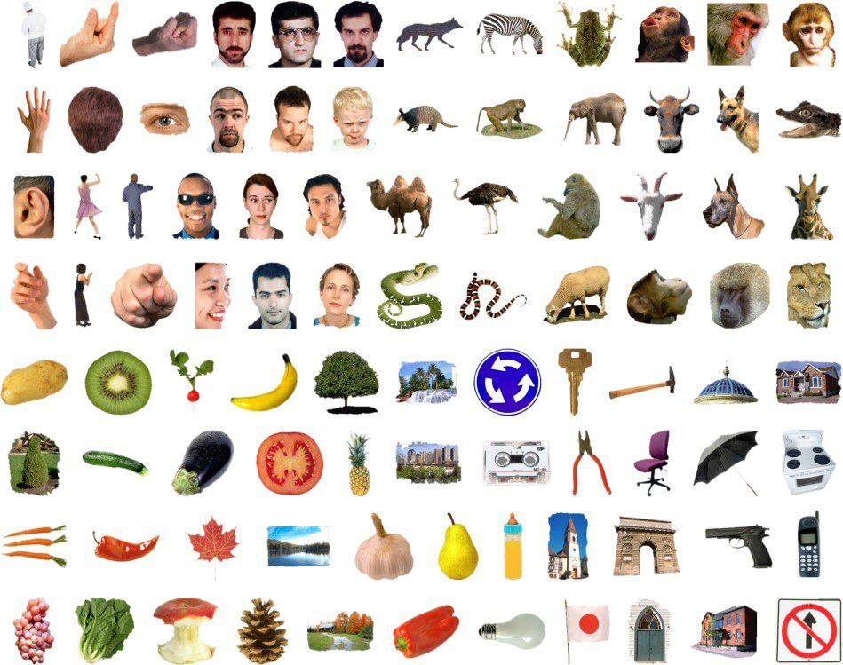 Analysis Reveals Limitations of Artificial Intelligence in Visual ...